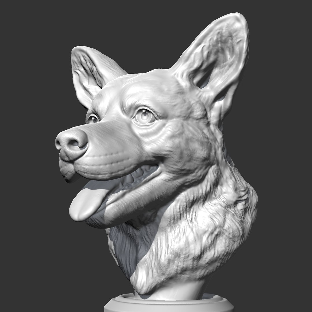 Welsh Corgi AM15 Printable 3D Model - TurboSquid 2066842