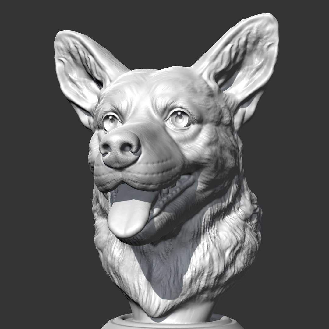 Welsh Corgi AM15 3D print model 3D model - TurboSquid 2066842