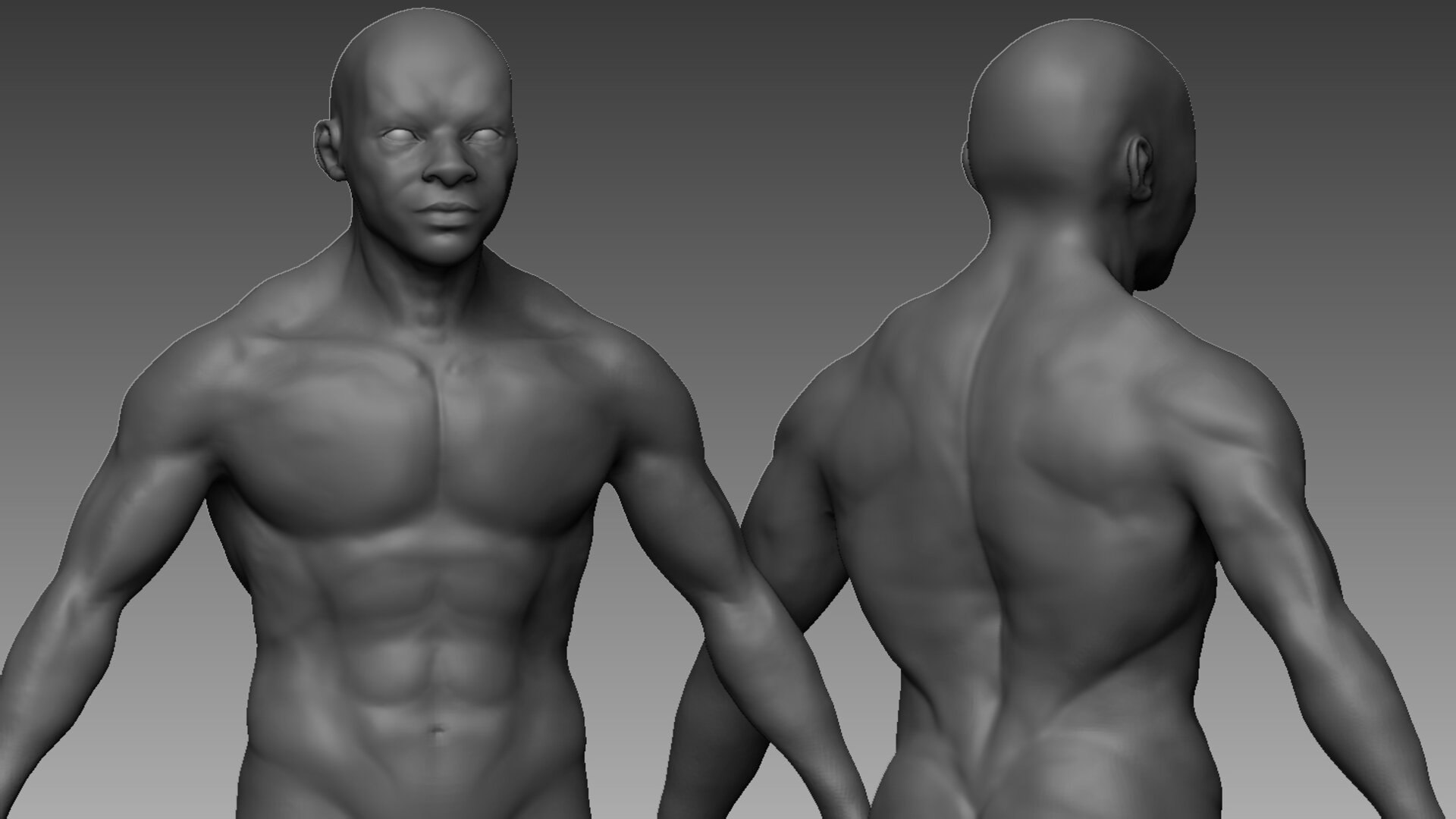 HumanCharacterHighPoly 3D Model - TurboSquid 1935706