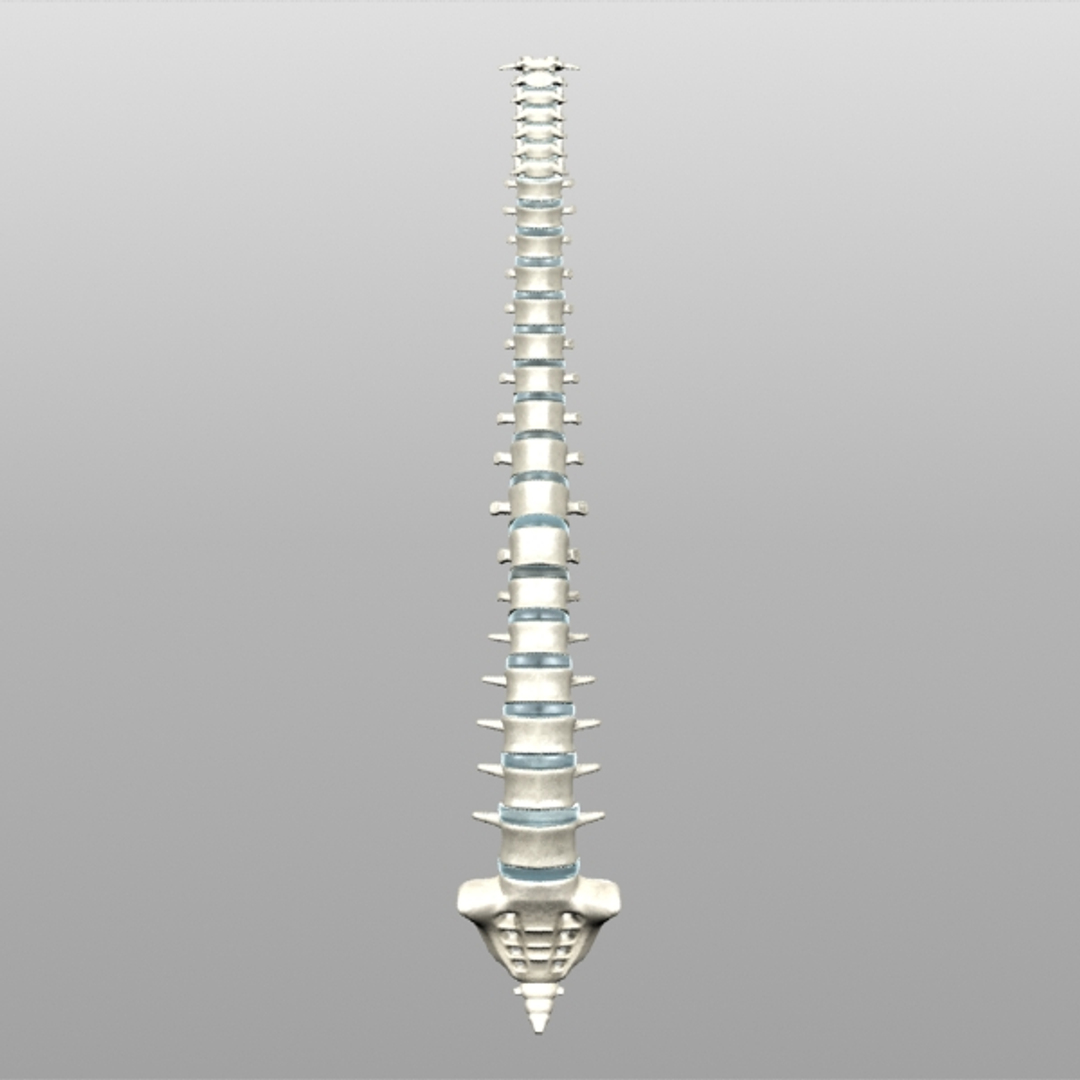 human spine 3d 3ds