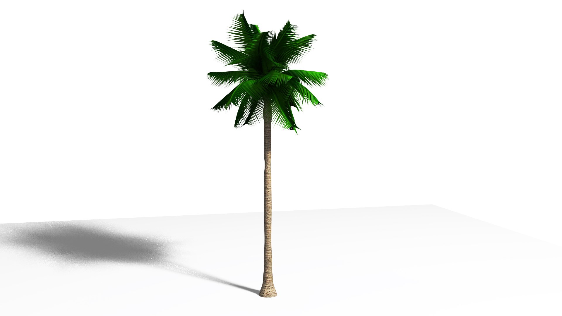 3D Palm Tree Animated - TurboSquid 1731745