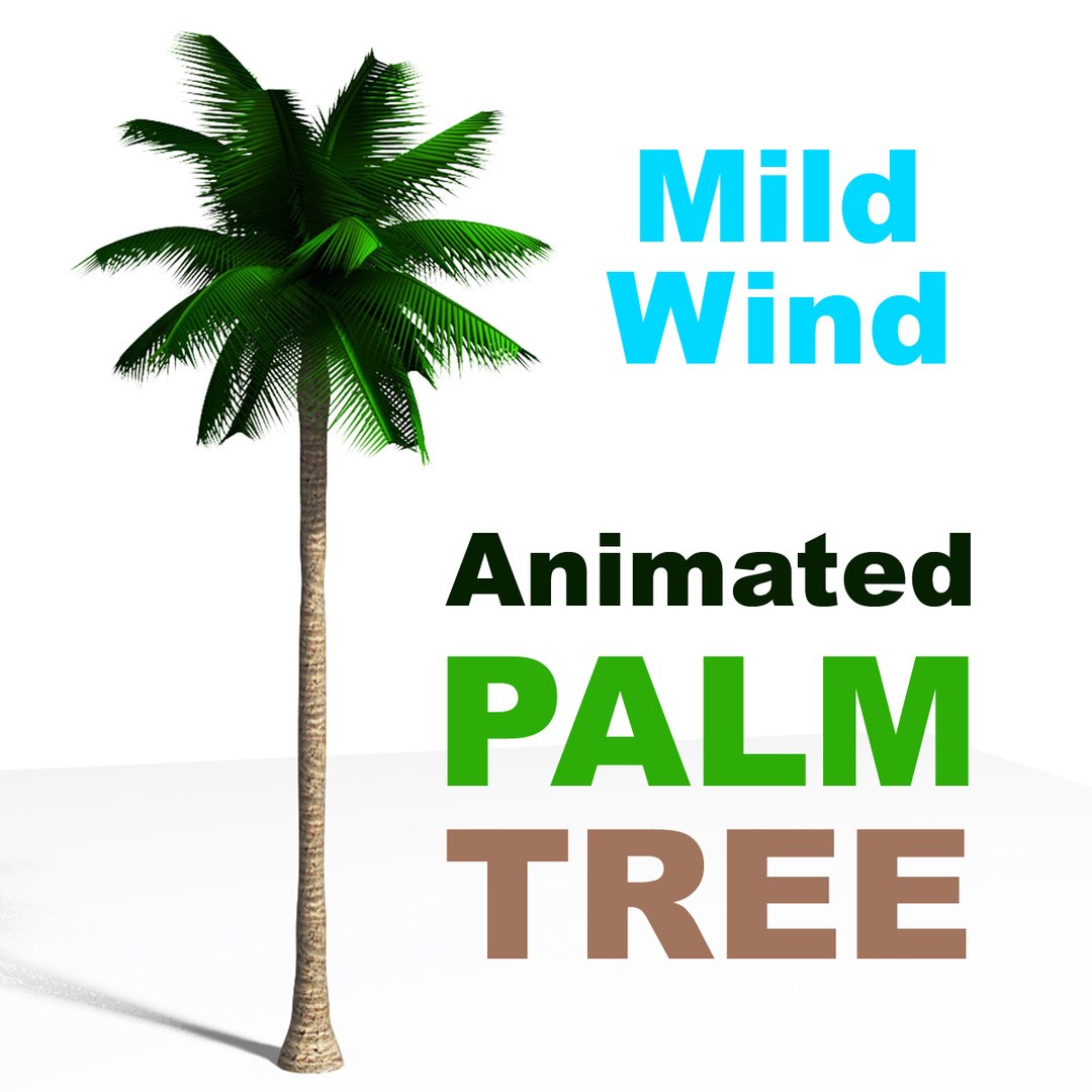 3D Palm Tree Animated - TurboSquid 1731745