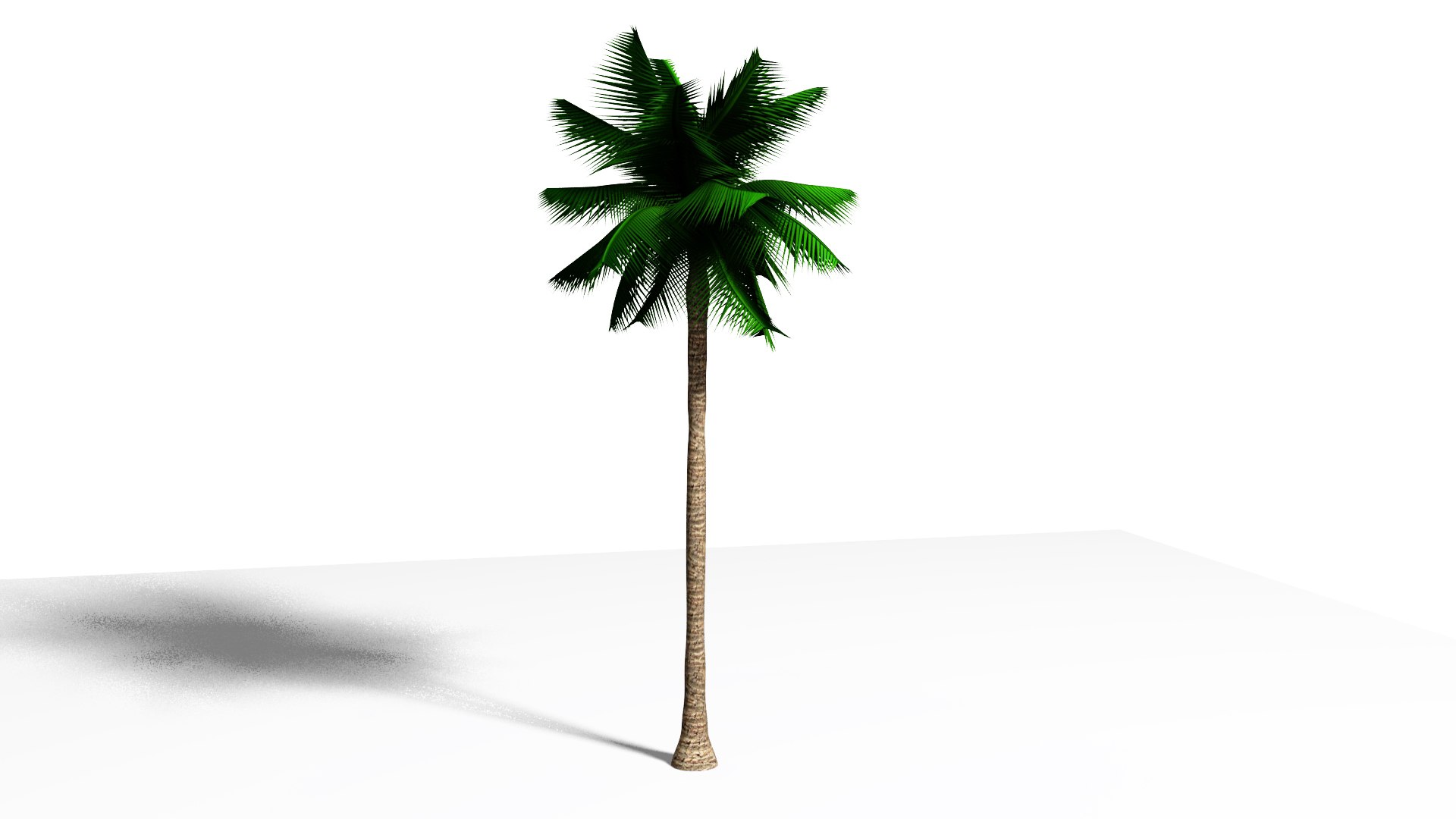 3D Palm Tree Animated - TurboSquid 1731745