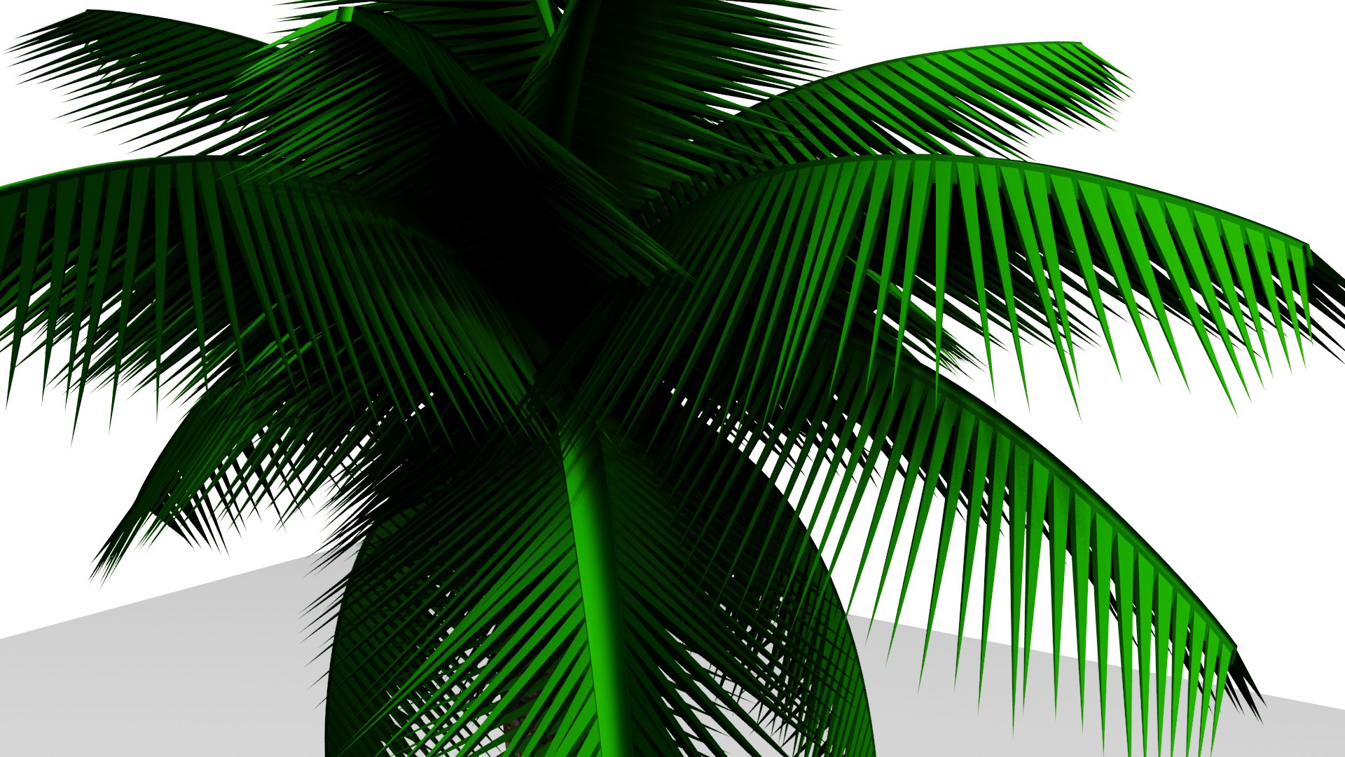 3D Palm Tree Animated - TurboSquid 1731745