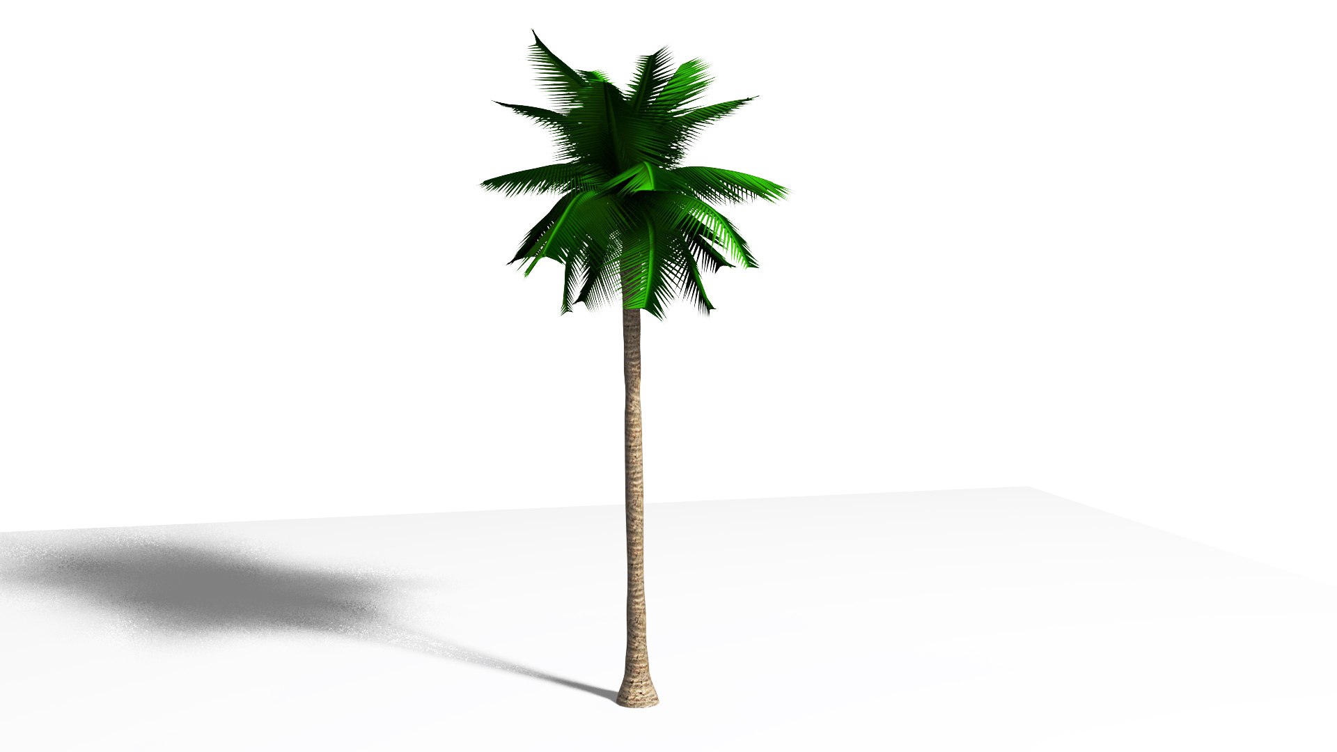 3D Palm Tree Animated - TurboSquid 1731745