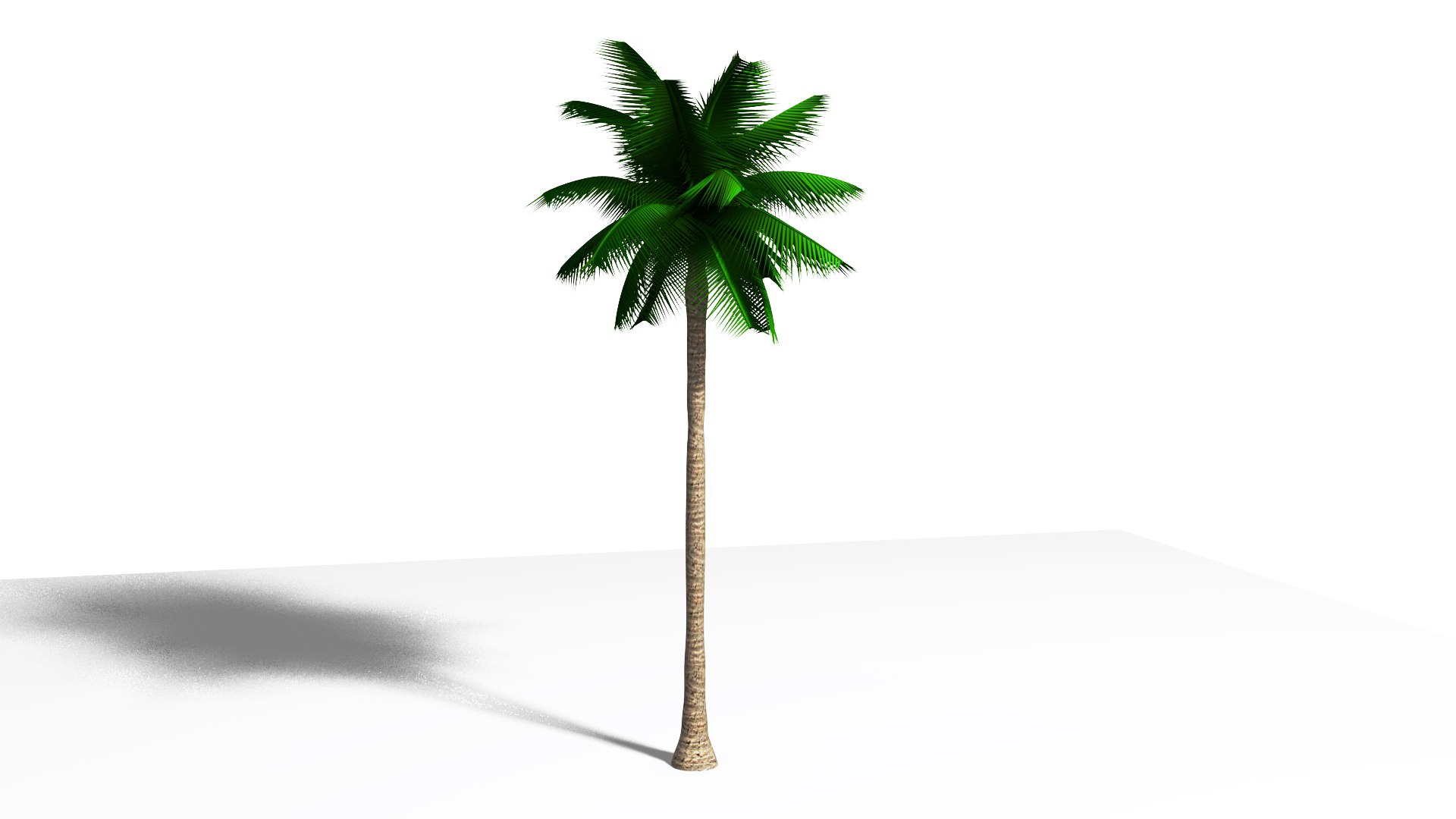 3D Palm Tree Animated - TurboSquid 1731745