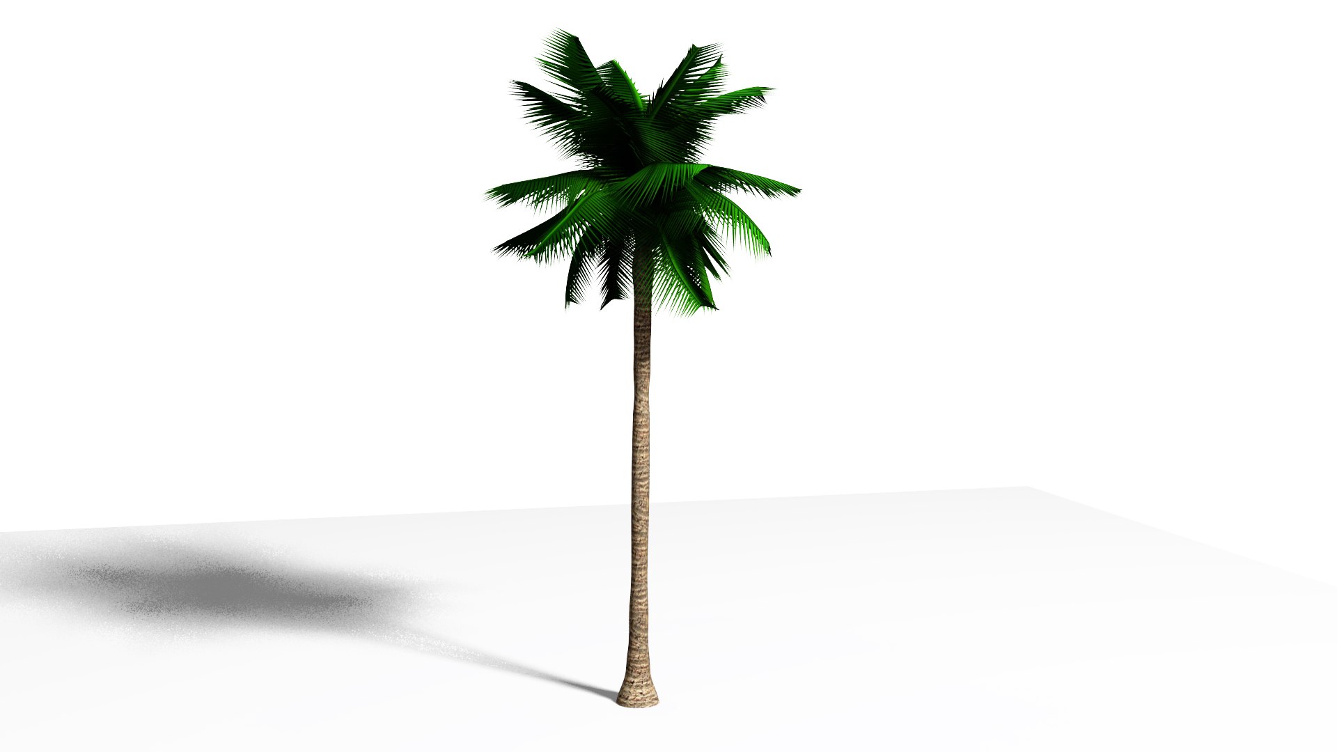 3D Palm Tree Animated - TurboSquid 1731745