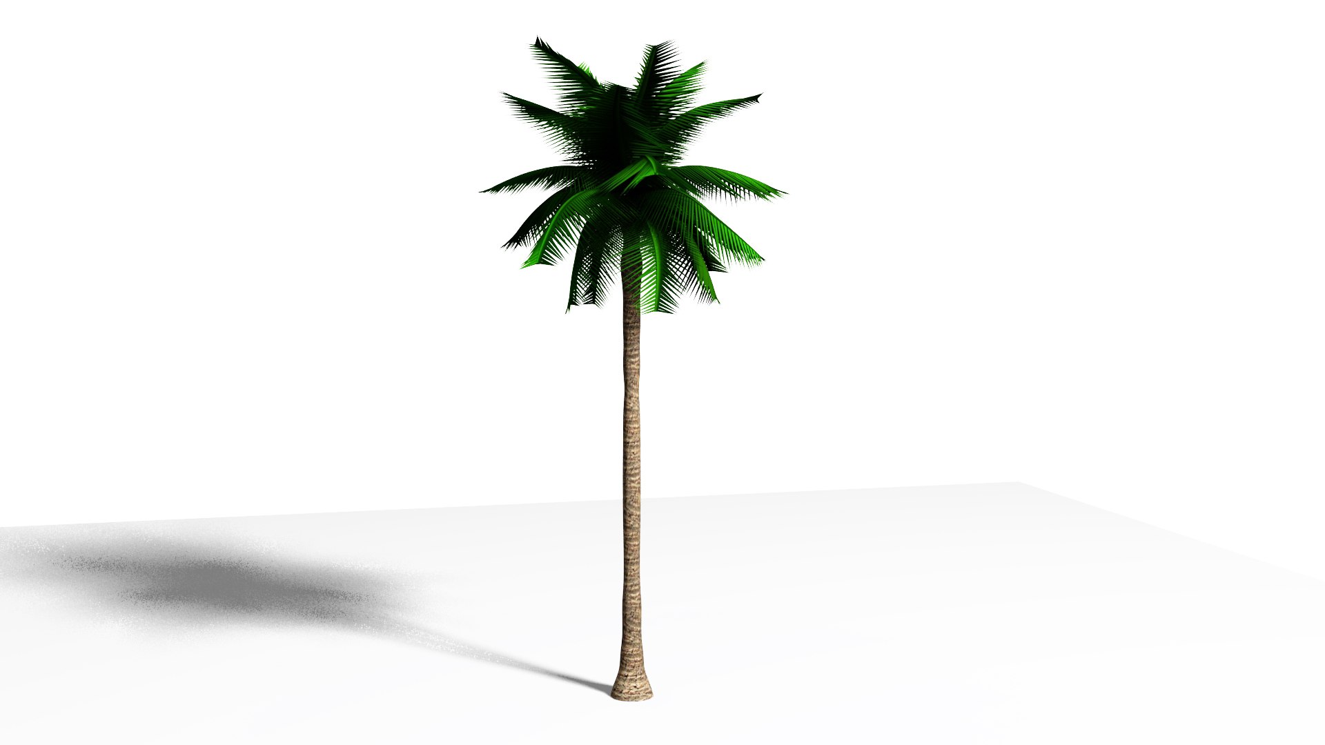 3D Palm Tree Animated - TurboSquid 1731745