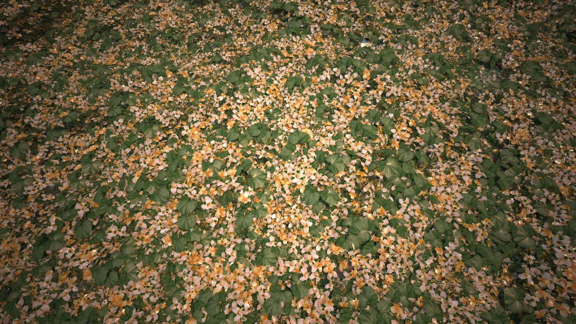 vegetation ground max