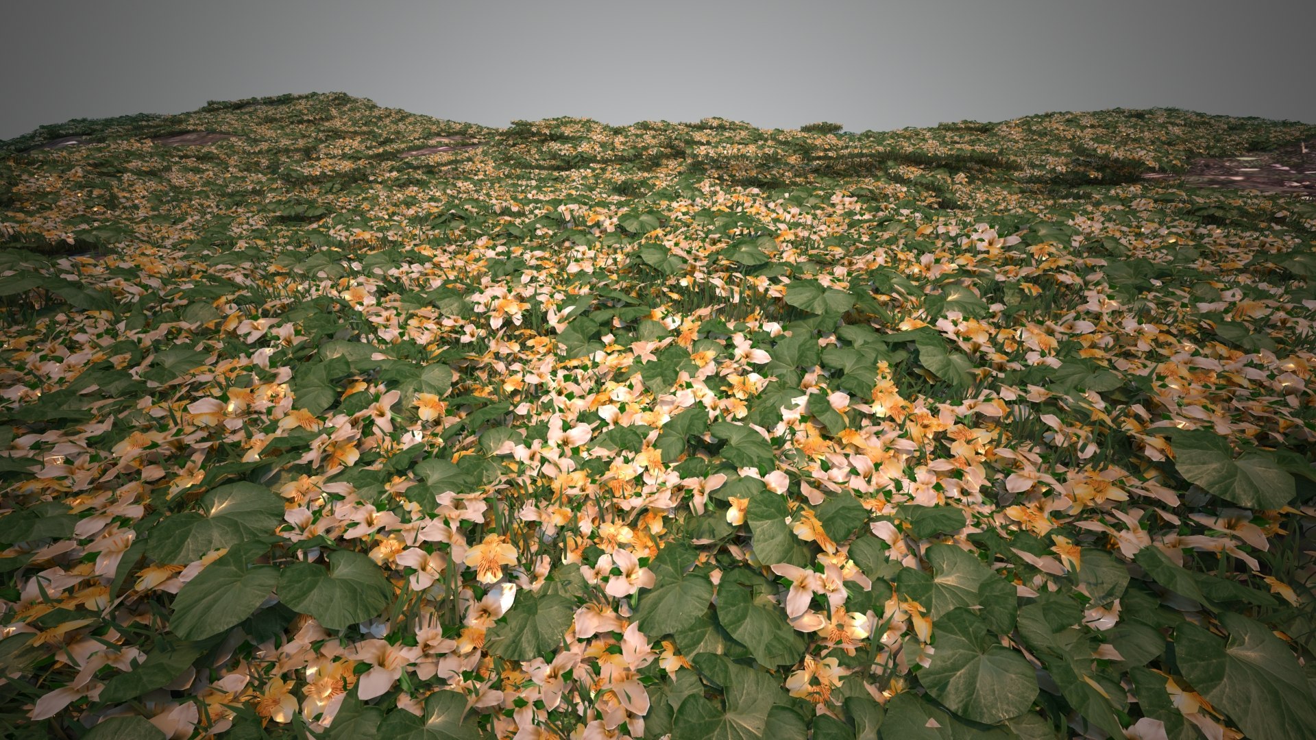 vegetation ground max