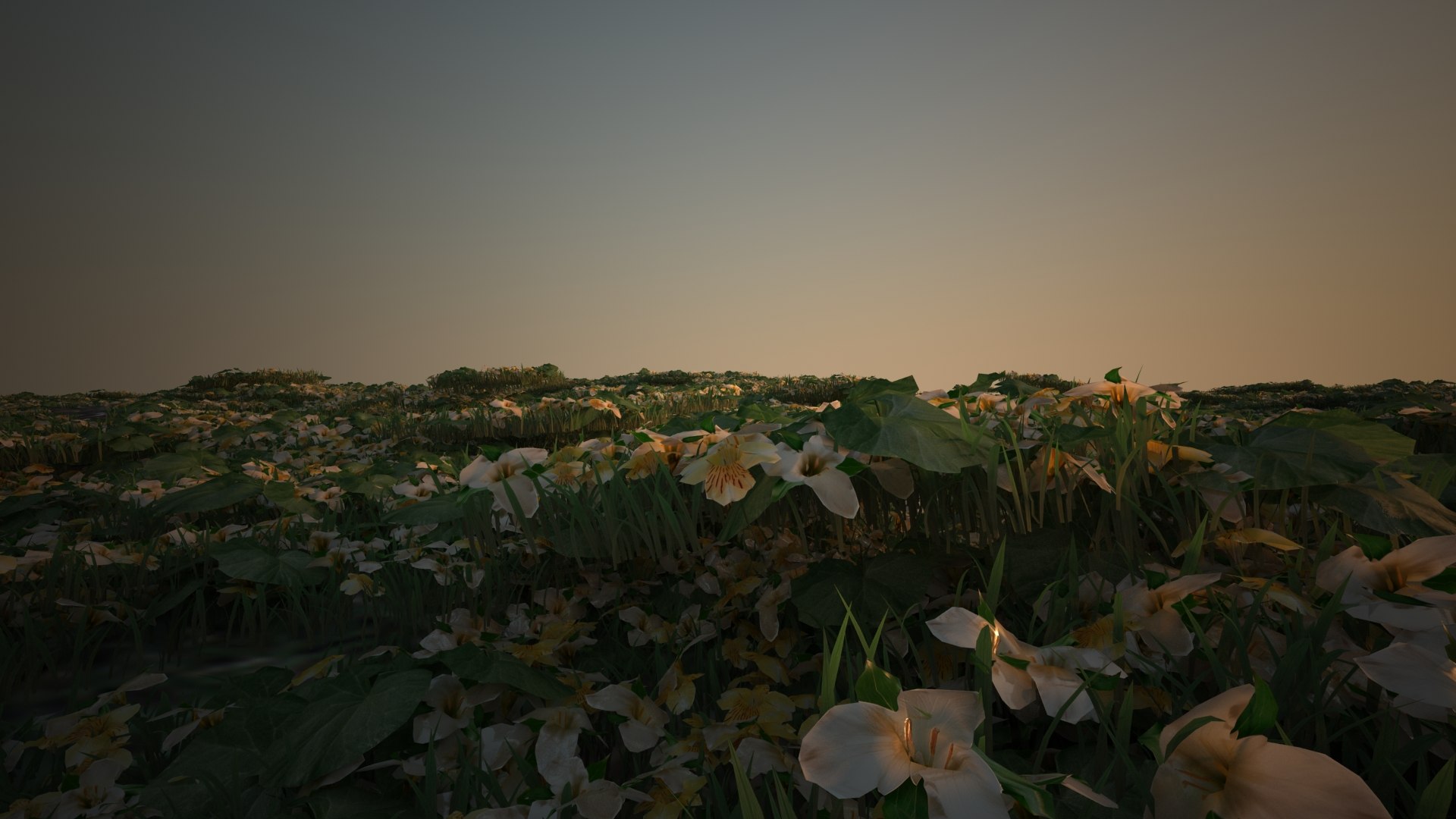 vegetation ground max