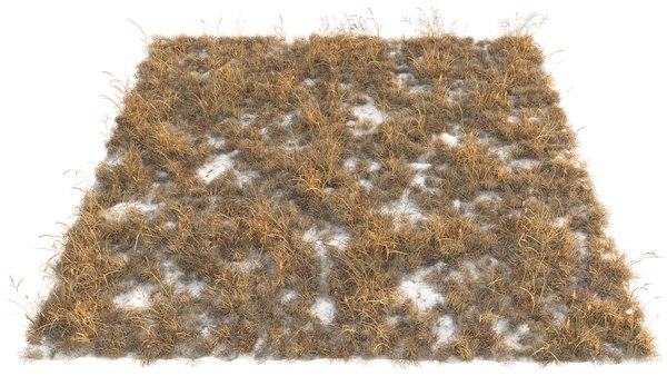3D Dry grass Autumn grass with snow - TurboSquid 2024408