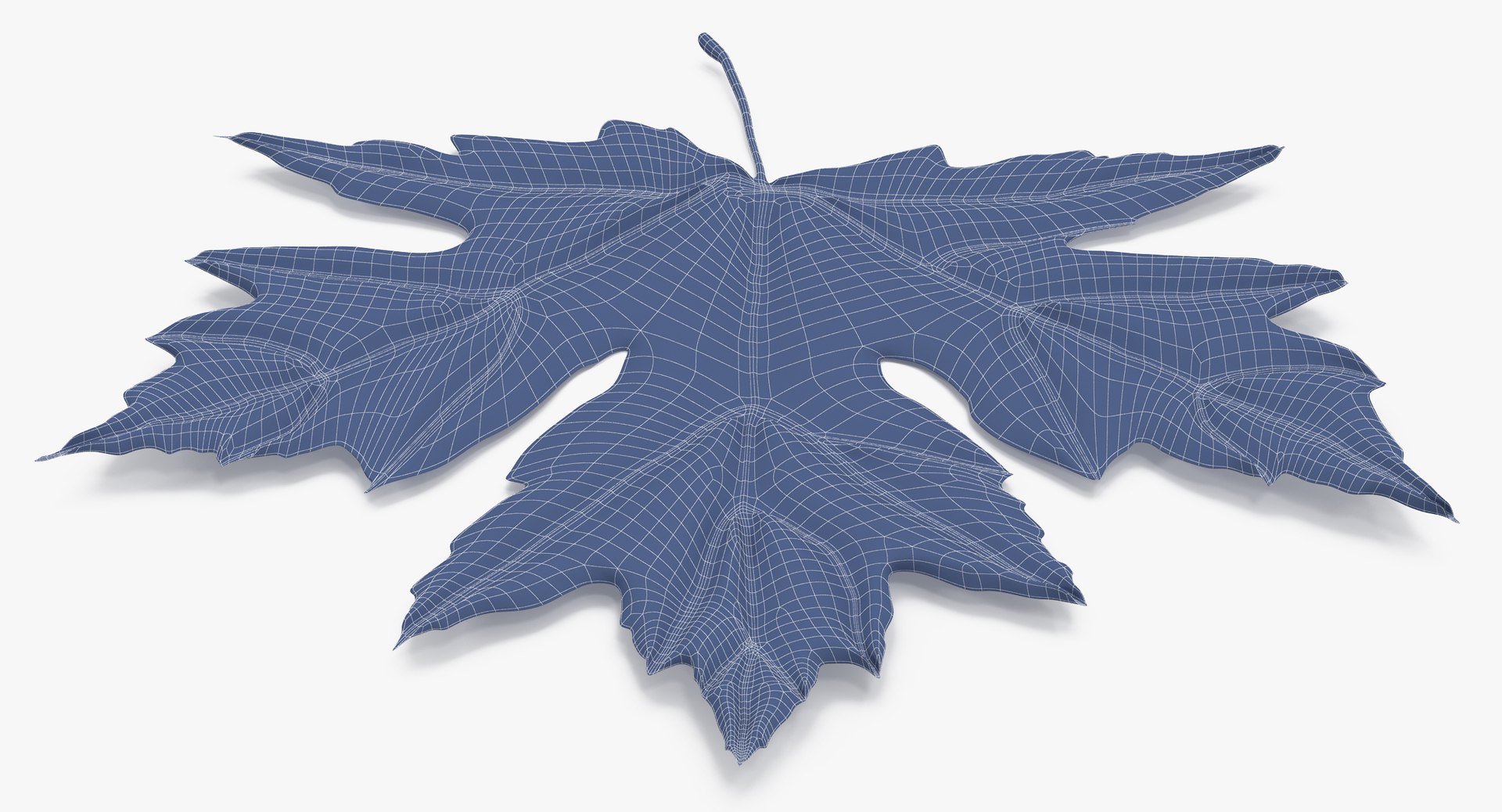 Red Maple Leaf 3d Max