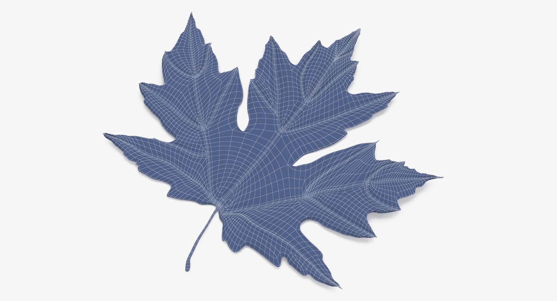 Red Maple Leaf 3d Max