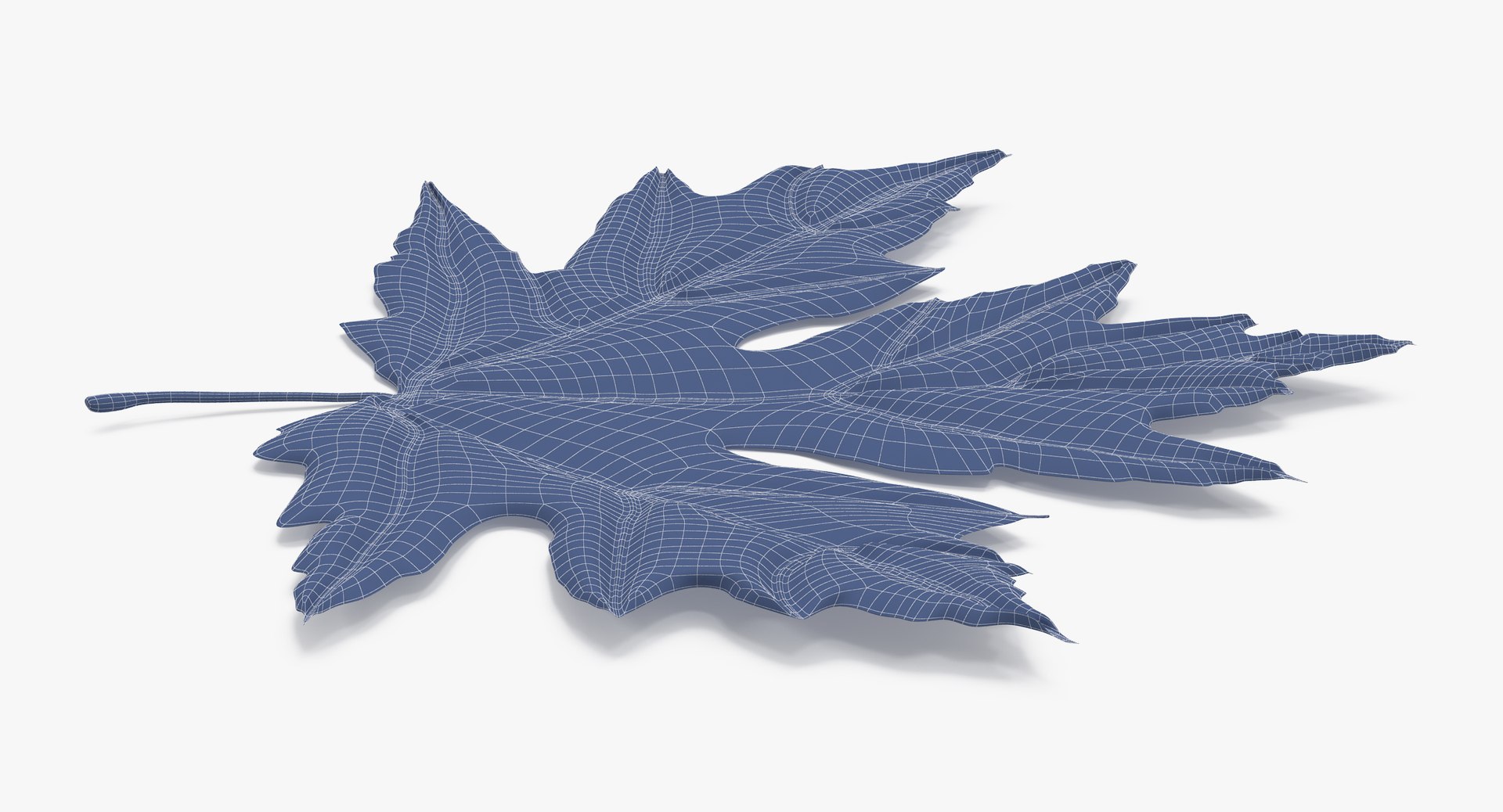 Red Maple Leaf 3d Max