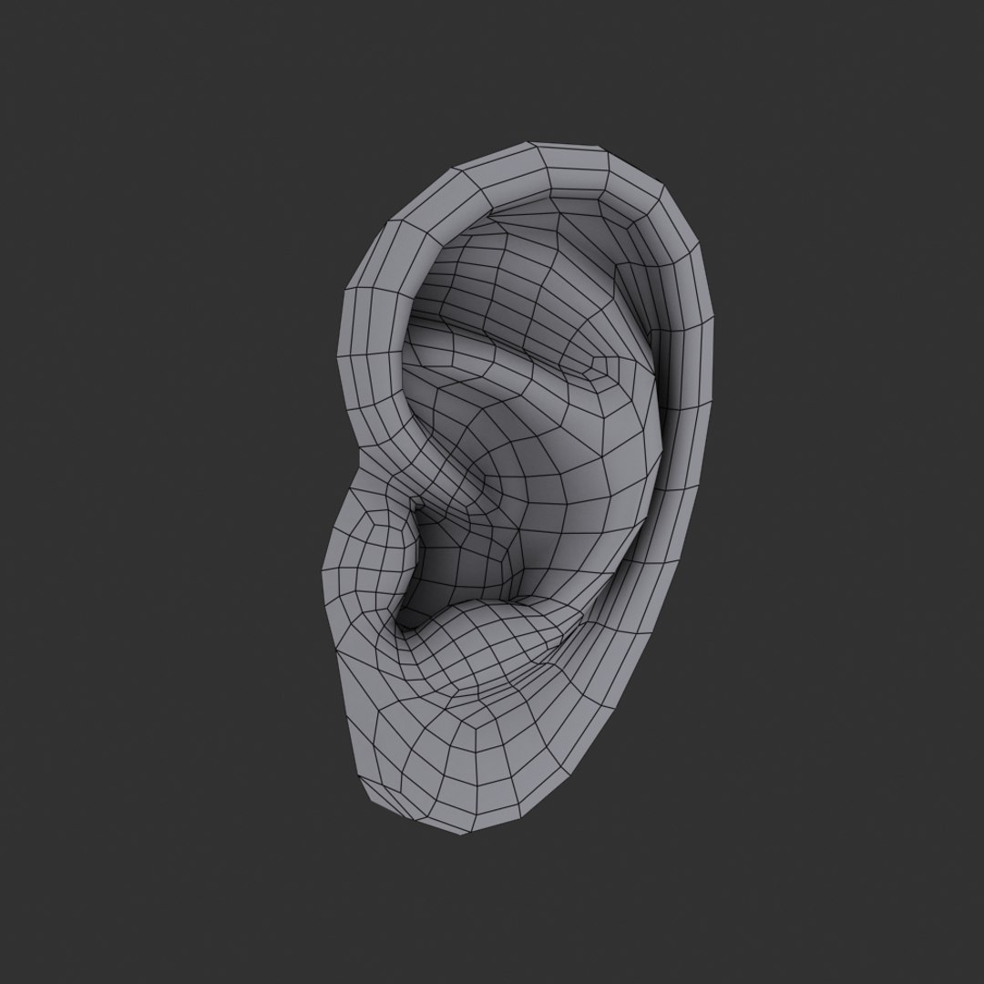 Max Realistic Human Ear