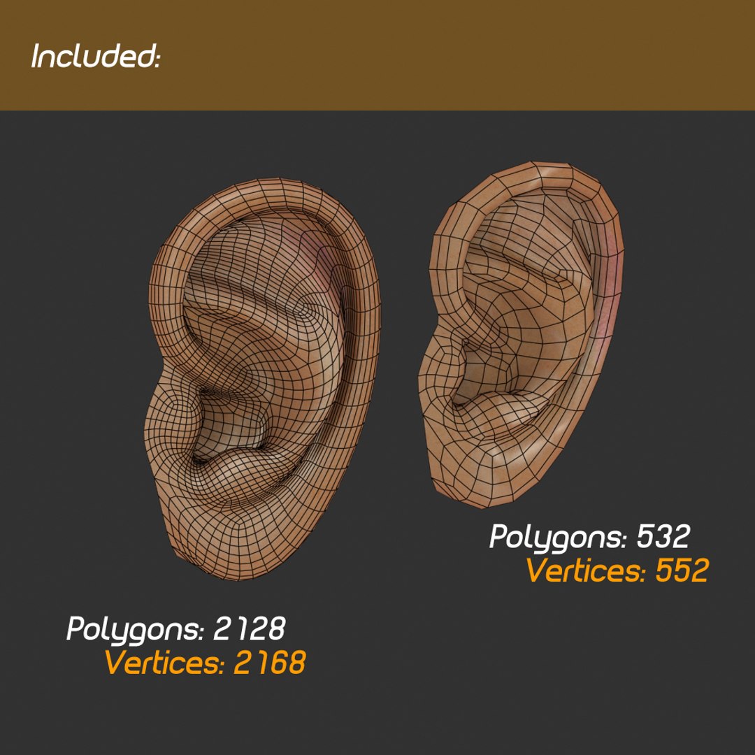 Max Realistic Human Ear