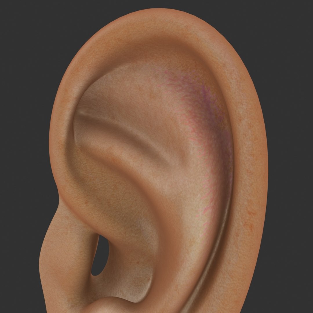 Max Realistic Human Ear
