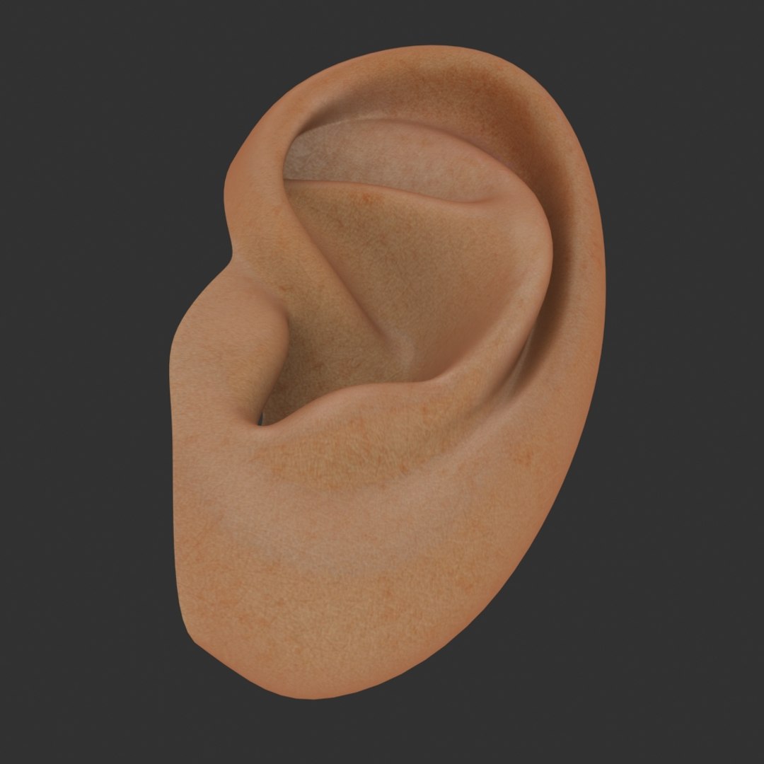 Max Realistic Human Ear