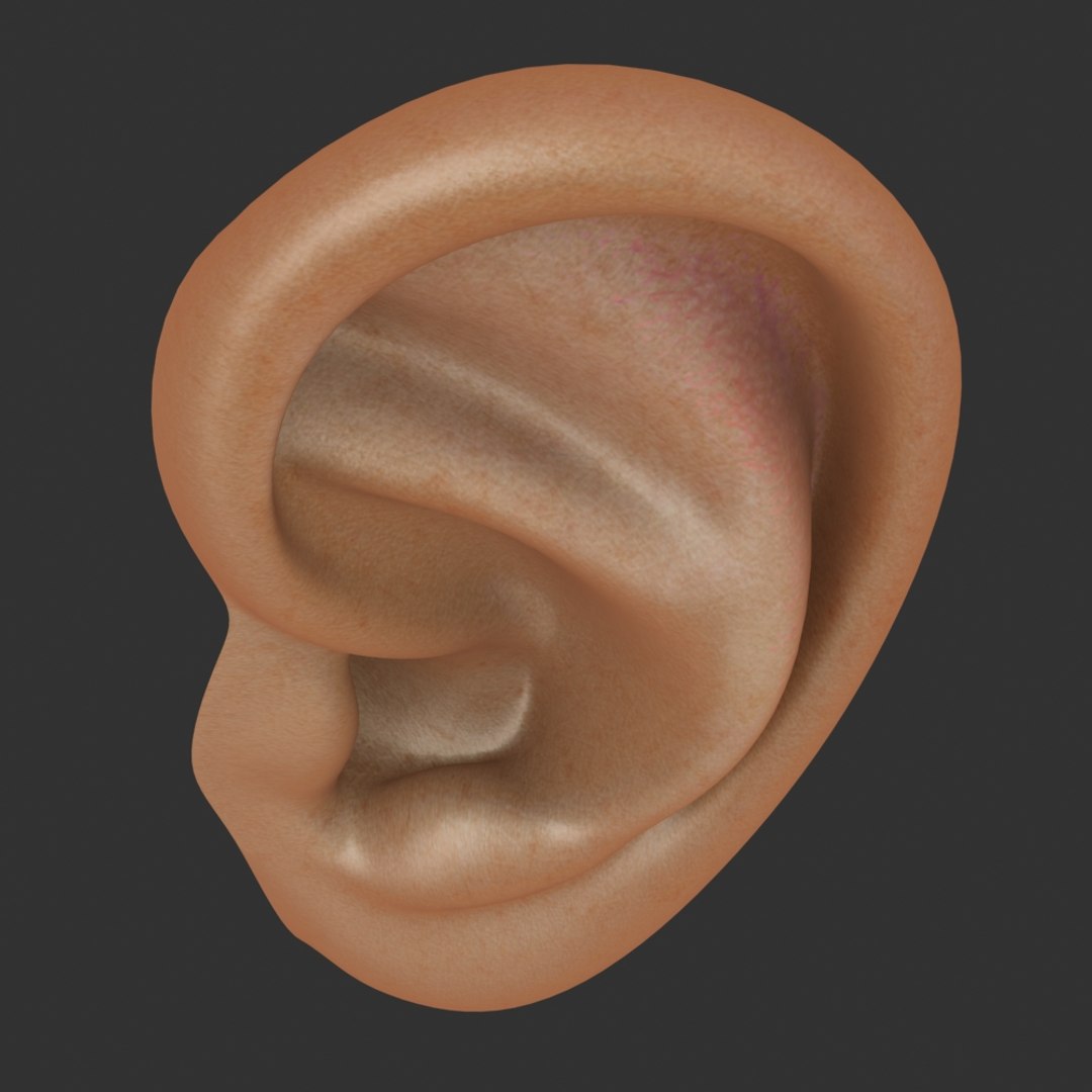 Max Realistic Human Ear