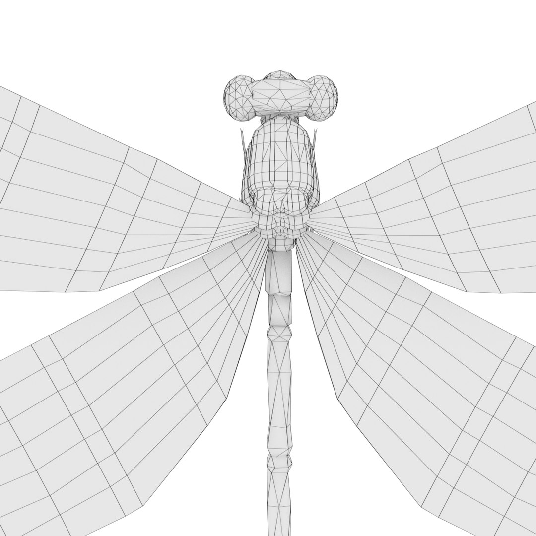 3D dragonfly model - TurboSquid 1195385
