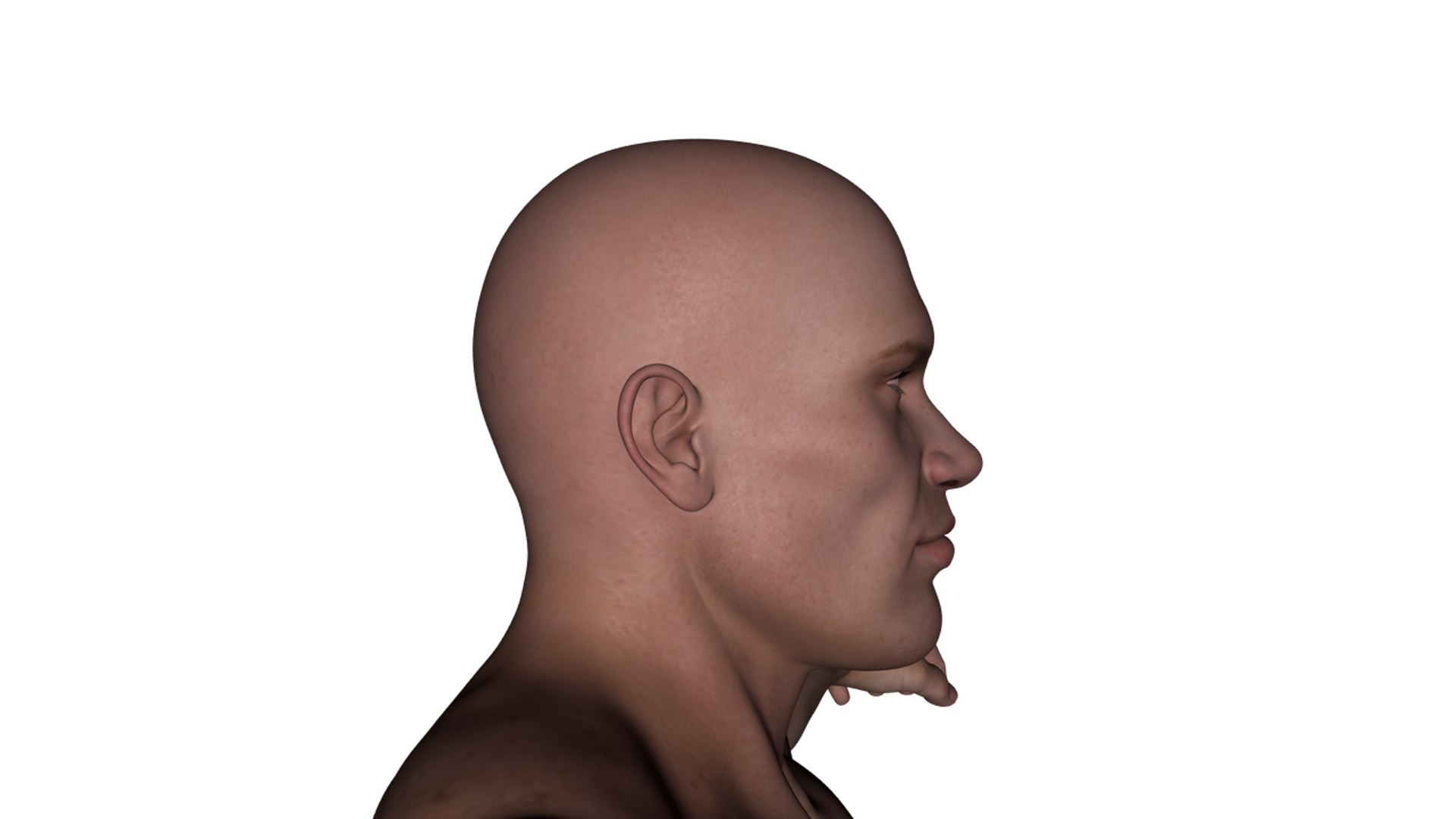 3d realistic rigged male character model