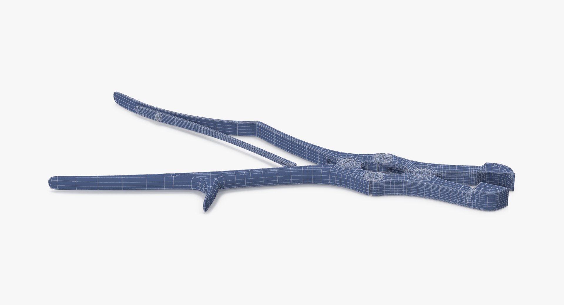 Rib Shears 3d C4d