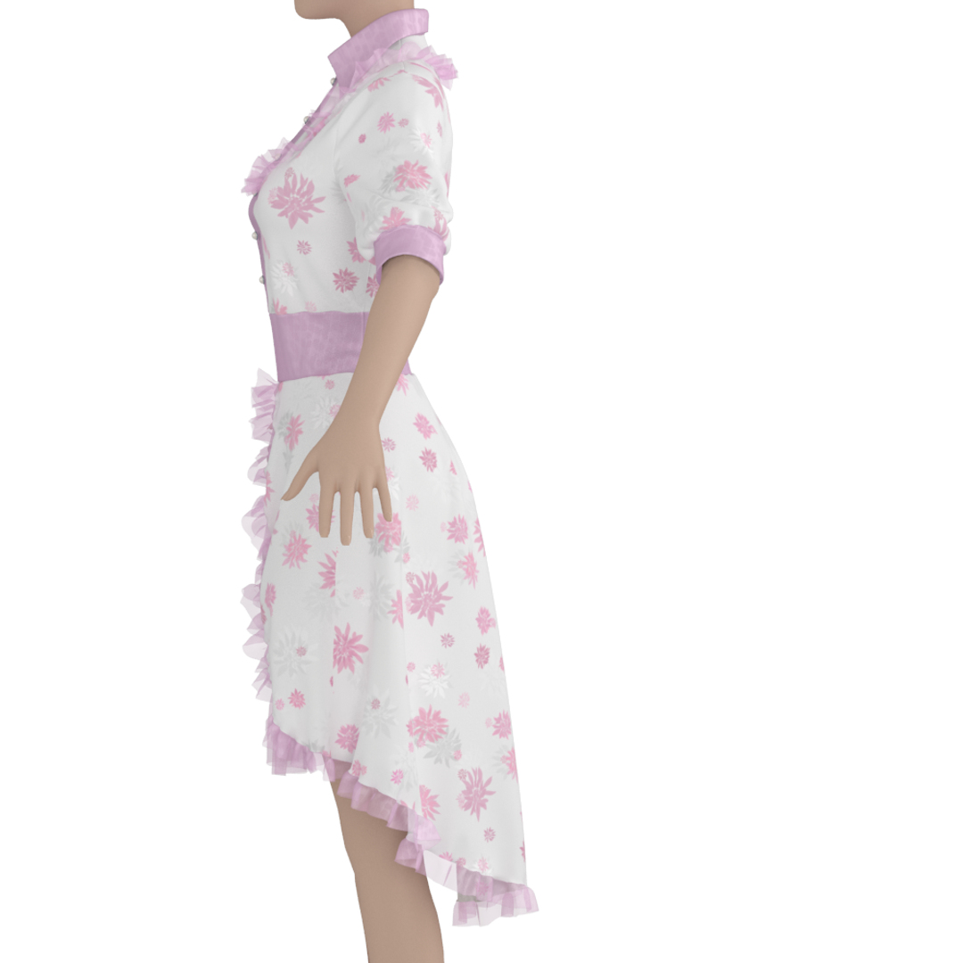 dress body 3d model