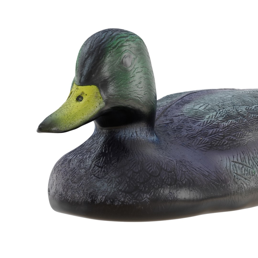 3D Decorative Duck Artificial Ponds - TurboSquid 1673749