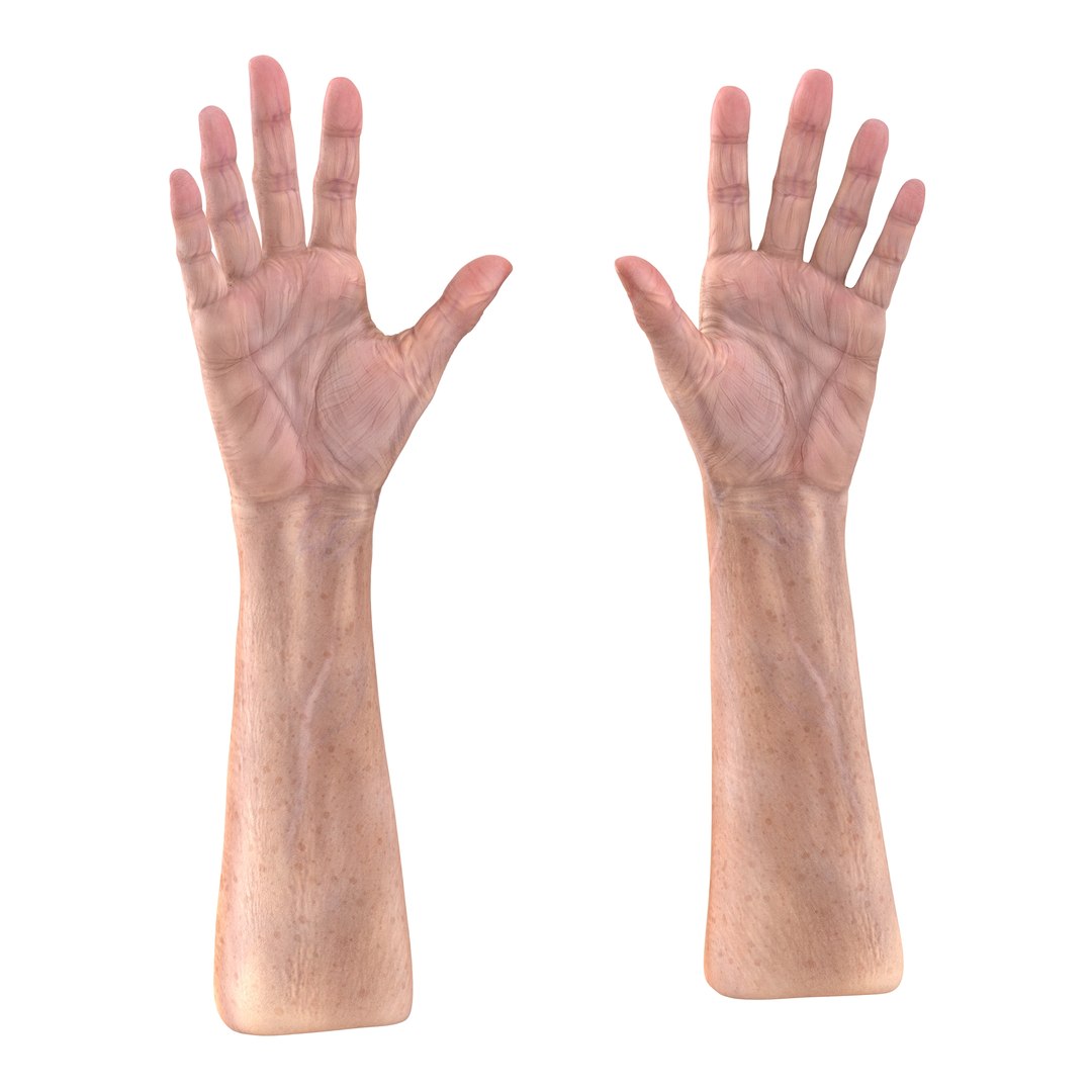 3d model old man hands 3