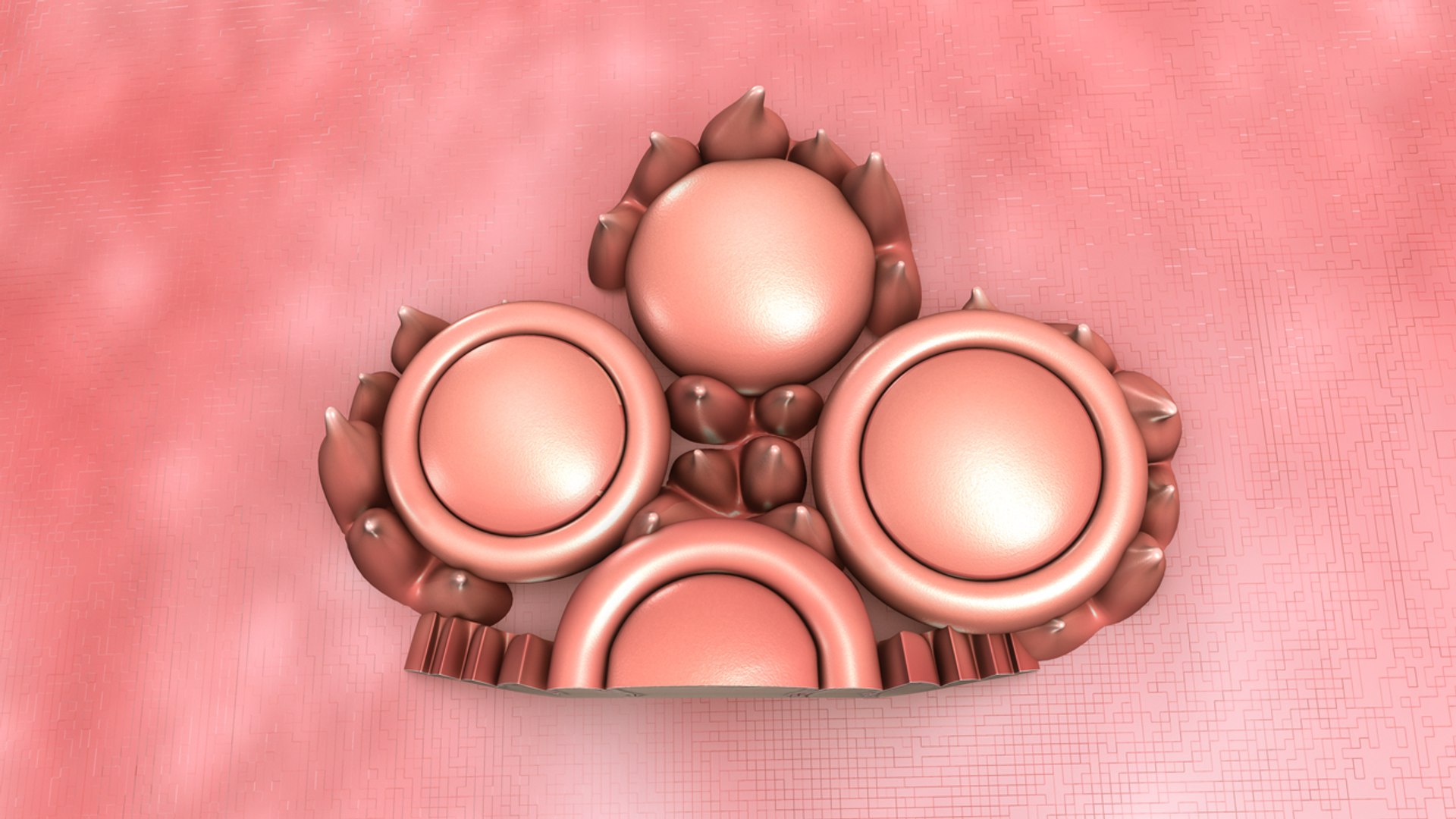 tongue receptor 3d model