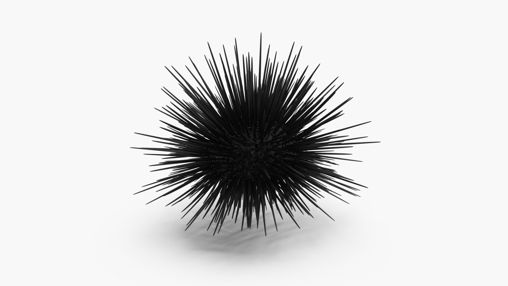 Sea Urchin With Scissors 3D Model - TurboSquid 2382948