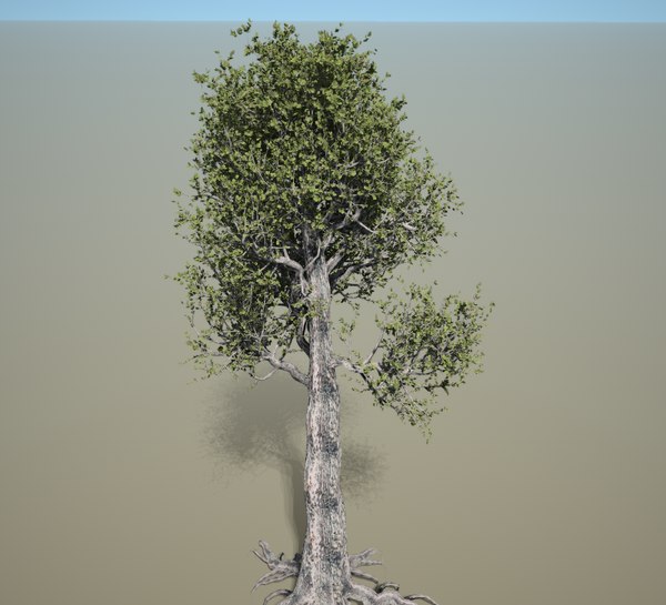 Big tree 3D model - TurboSquid 1602709