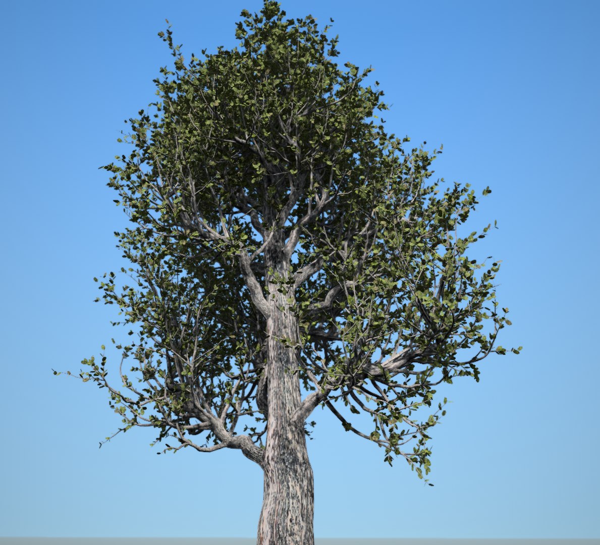 Big tree 3D - TurboSquid 1536544