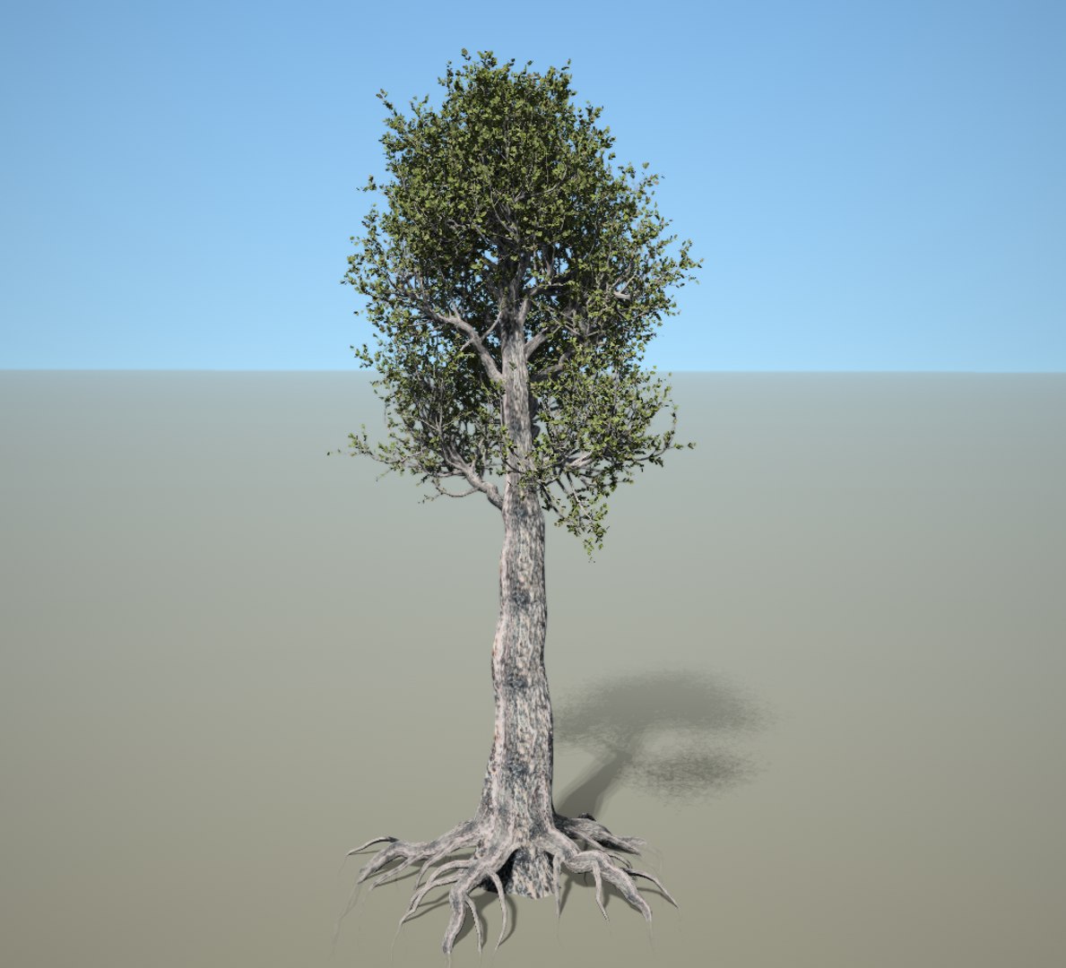 Big tree 3D - TurboSquid 1536544