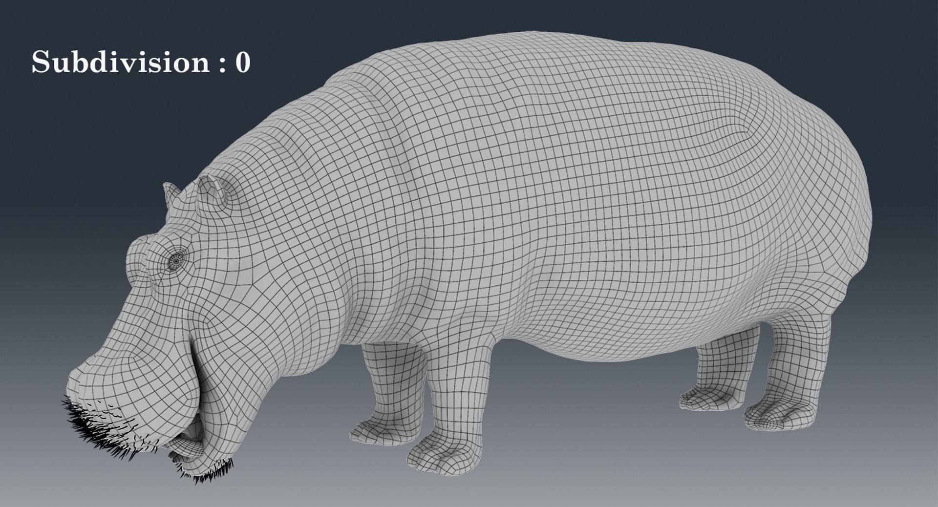 3d Hippopotamus Rigged Model