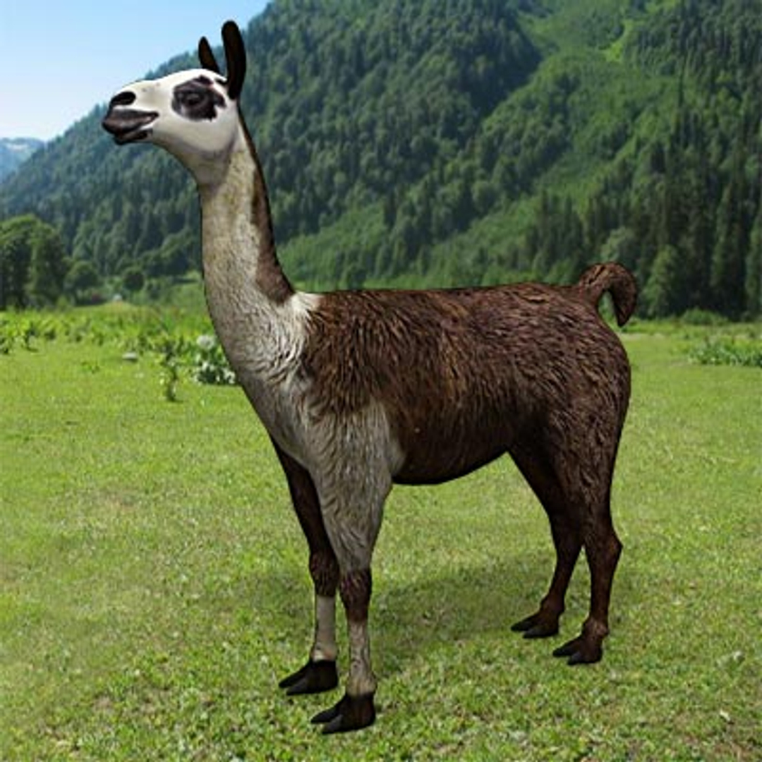 3dsmax llama animals peru