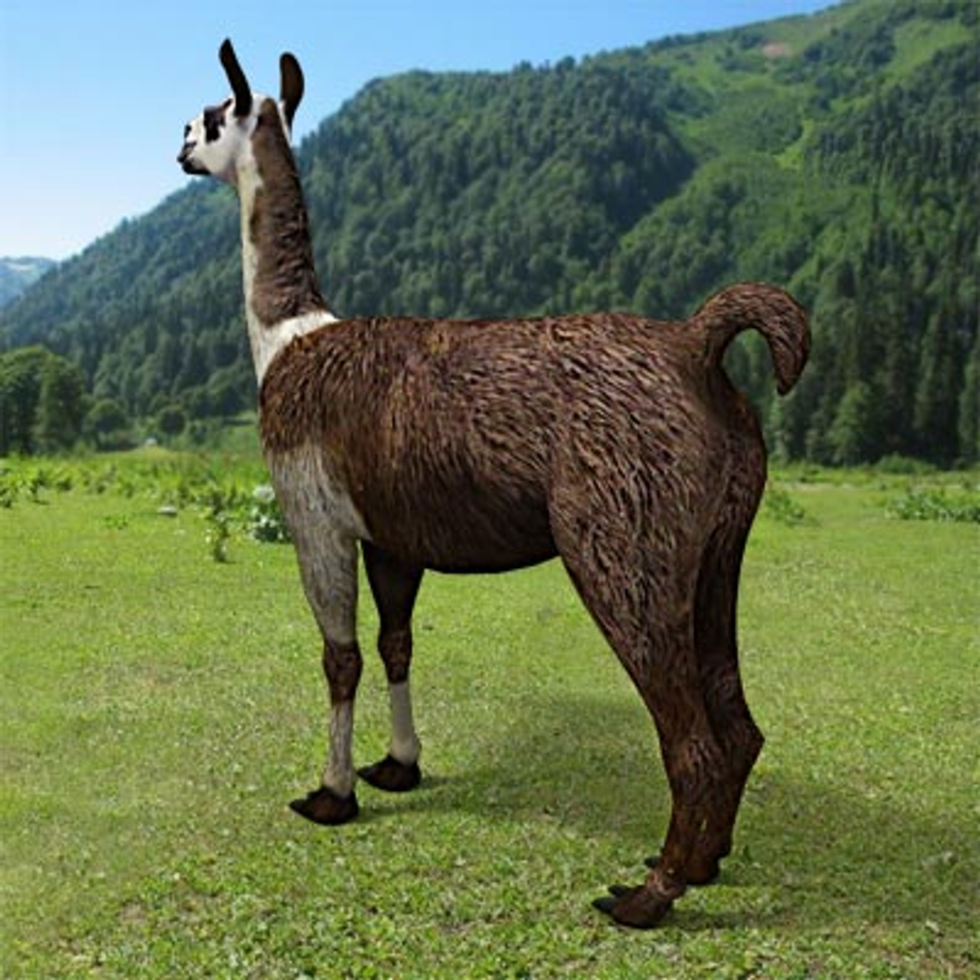 3dsmax llama animals peru