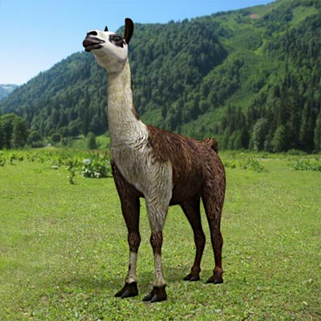 3dsmax llama animals peru