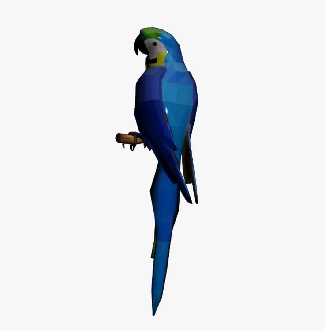 3D Macaw - TurboSquid 1252602