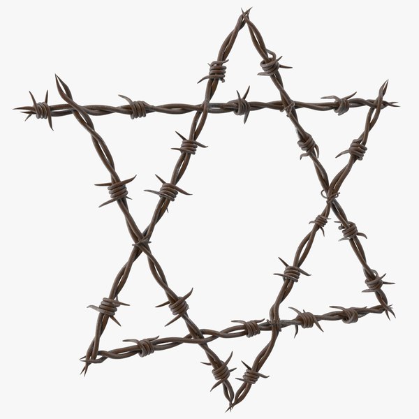 3D Star of David made from Barbed Wire Rusty model - TurboSquid 1819271
