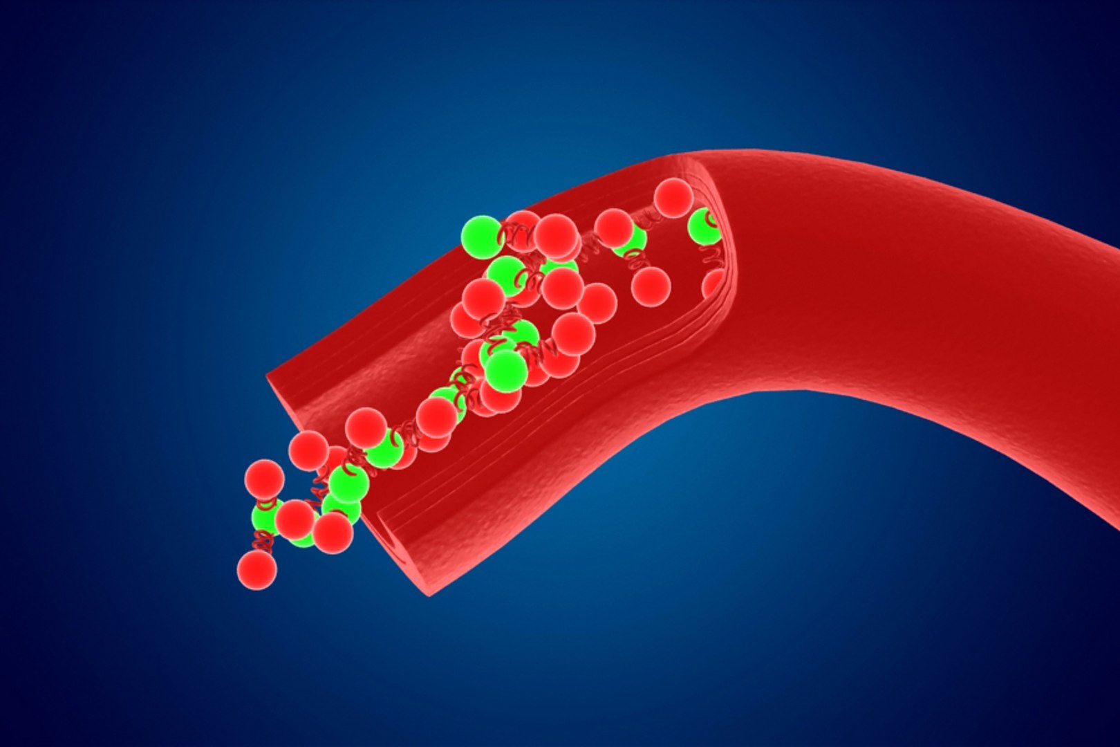 3D model medicine vascular anatomy human - TurboSquid 1617660