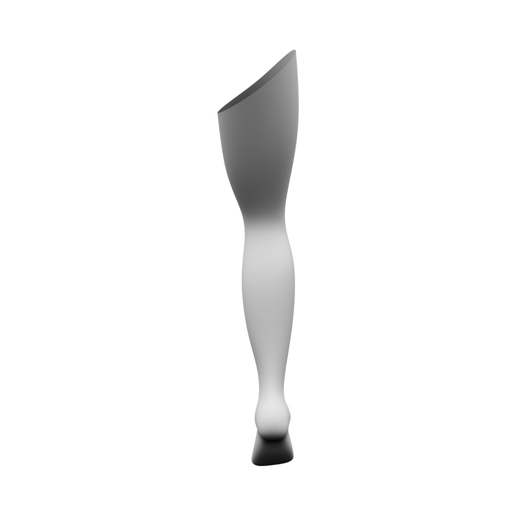 3D Model Leg - TurboSquid 1582357