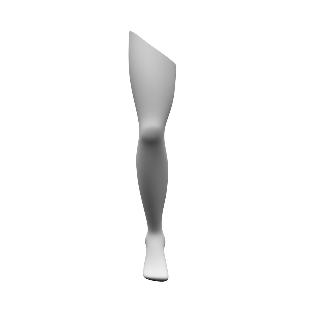 3D Model Leg - TurboSquid 1582357
