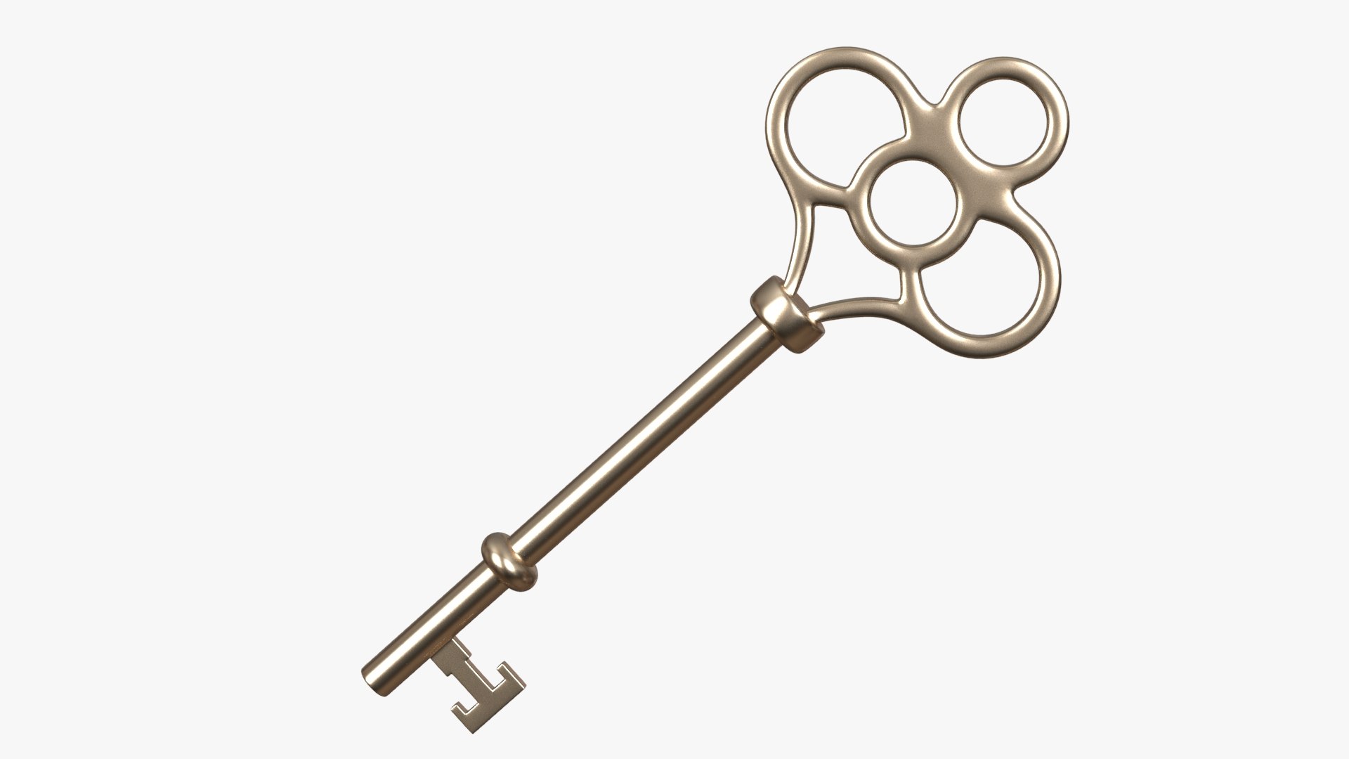 Skeleton Key 3D - TurboSquid 1854027
