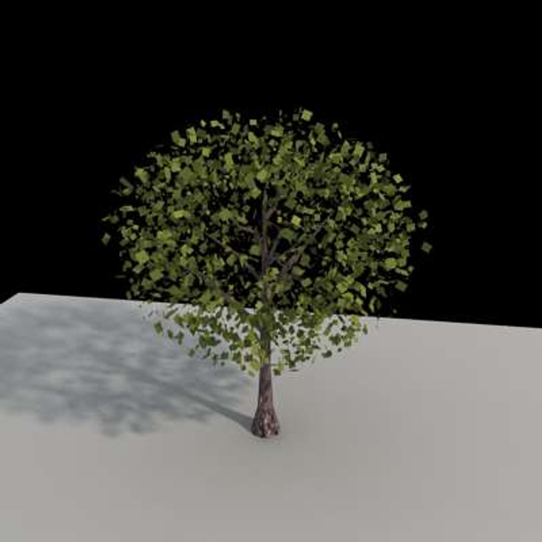 tree architectural max