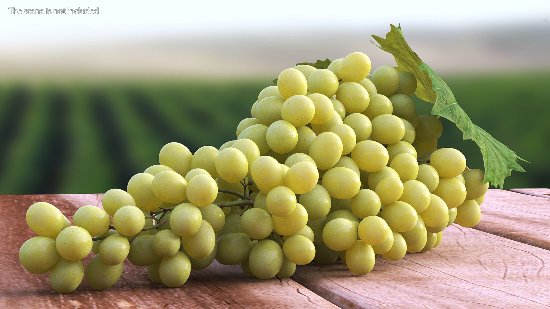 Sultana Green Grape Cluster Lying 3D model - TurboSquid 2178944