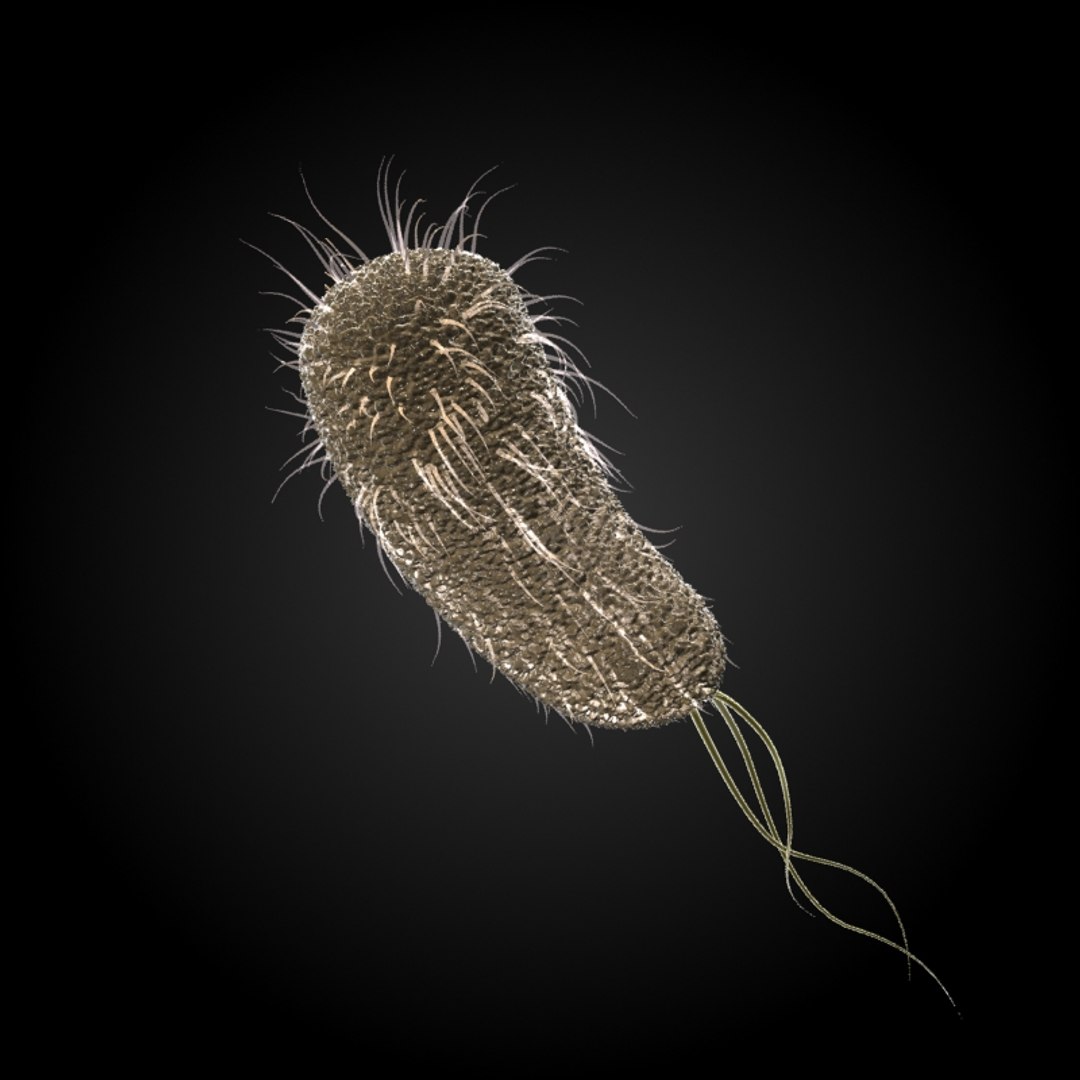 25 Microbes Micro Sets 3d Model