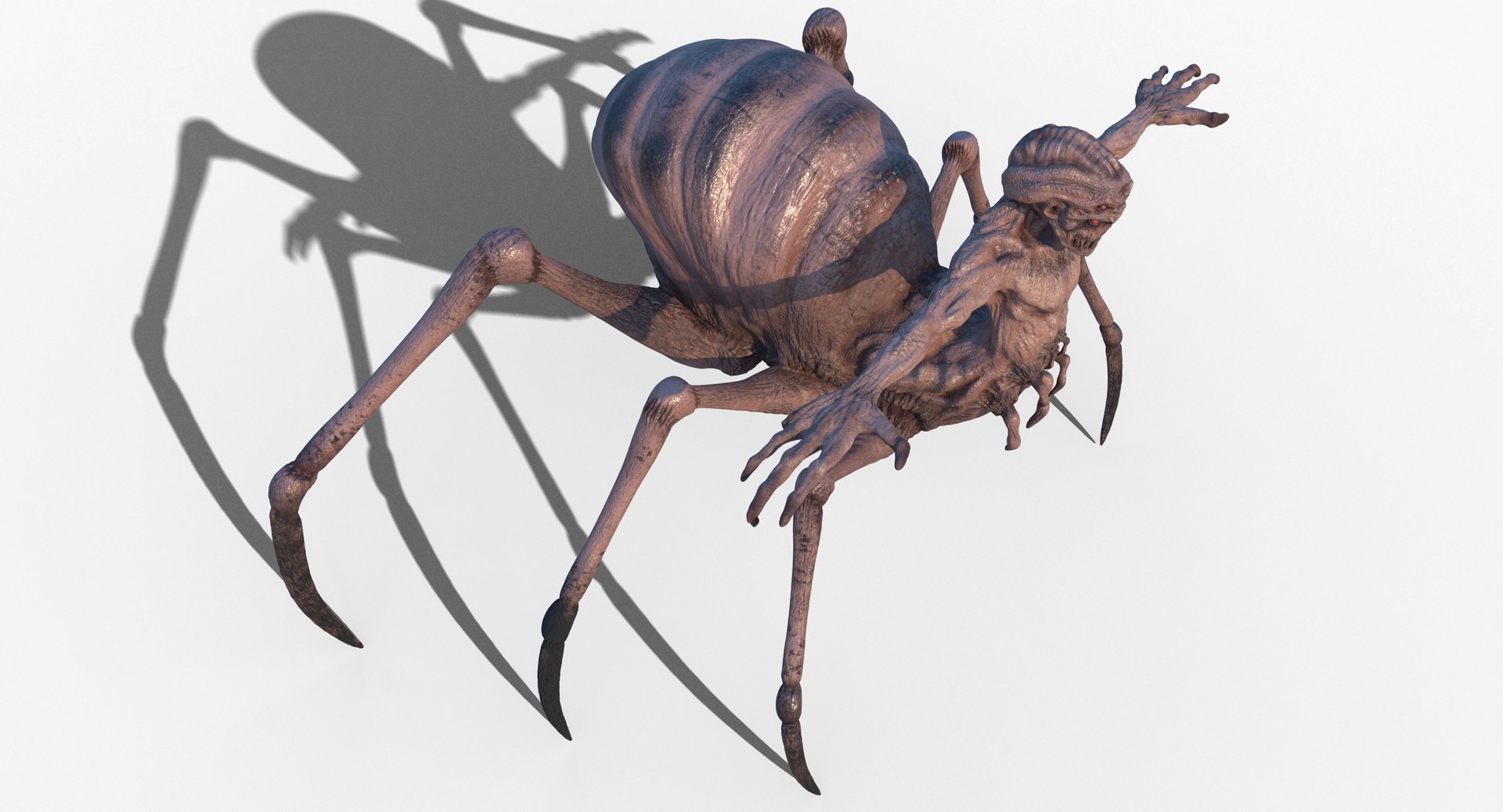 3D Spider Character - TurboSquid 1262620