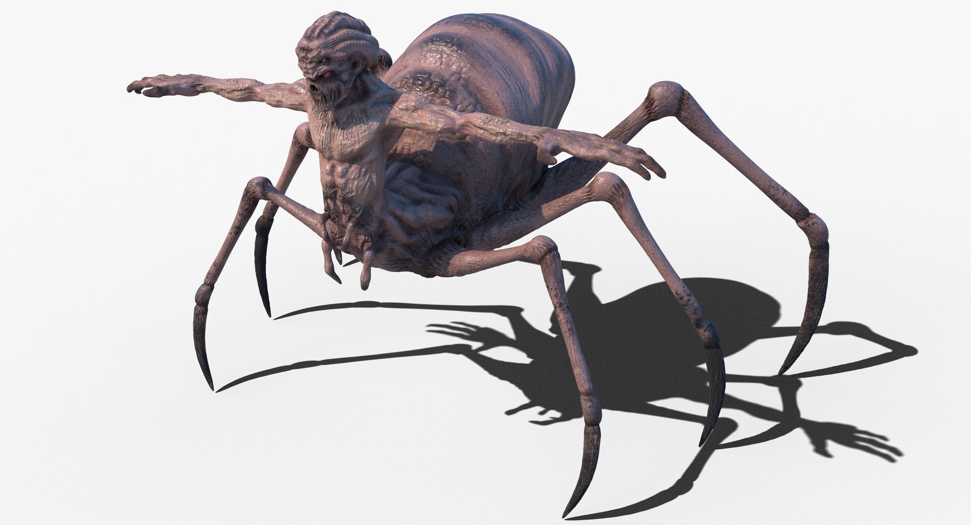 3D Spider Character - TurboSquid 1262620